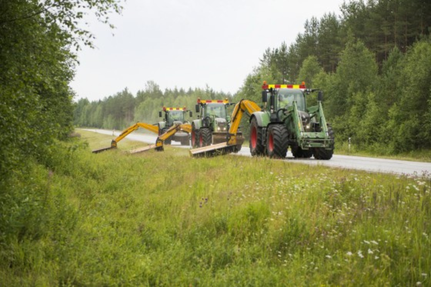 Vergisting: Alles over de werking, toepassing en kansen